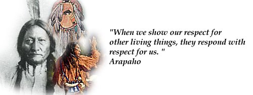 Native Respect Quotes The Profound Wisdom Of Native American Proverbs