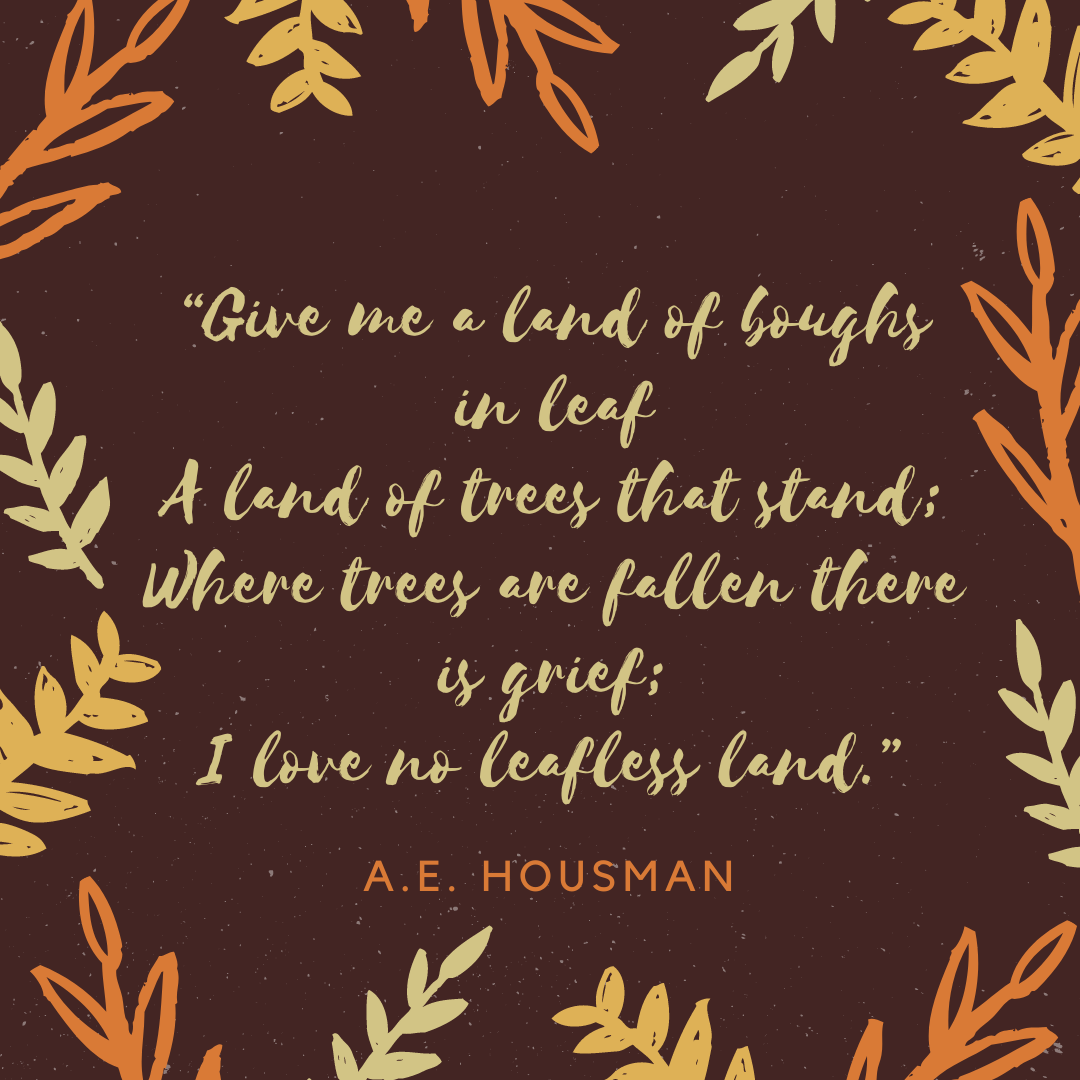 Quote of the Day- September 26, 2022 – cup of tea with that book, please