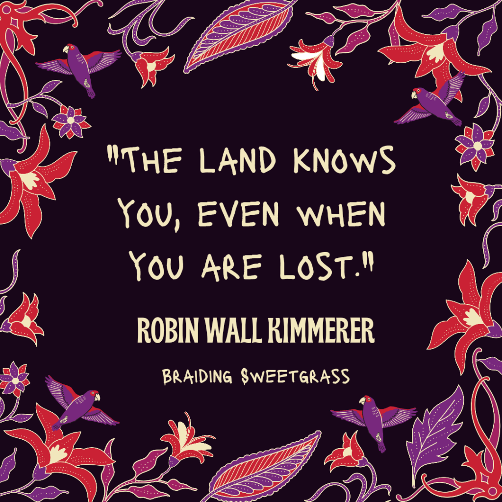 Quote of the Day – November 12, 2025 – cup of tea with that book, please